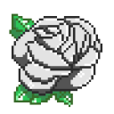 𝕿𝖍𝖊 𝕮𝖔𝖛𝖊𝖓 𝕺𝖋 𝕿𝖍𝖊 𝕽𝖔𝖘𝖊 - Discord Servers