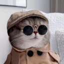 SentinelSec | Discord App Directory