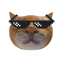 Cat Bot | Discord App Directory