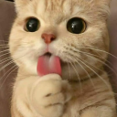 Gato | Discord App Directory