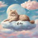 App of Akira | Discord App Directory