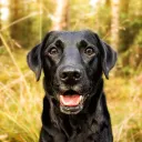 Kalu | Discord App Directory