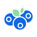 Berry | Discord App Directory