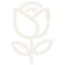 Levler | Discord App Directory