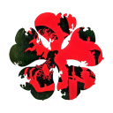 Clover Bot | Discord App Directory