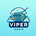 Viper FR | Discord App Directory
