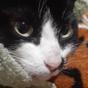 Viniciaao (Me) [Applio RefineGan] (RVC V2) [200 Epoch] [32K] AI Voice Model