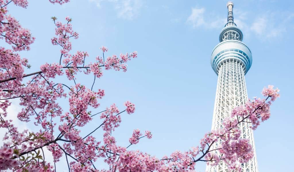 Gaiyu - Oshiage (Drums) (RVC v2, RMVPE, BeatzForge, 300 Epochs) AI ...