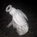 Ascenly - Edgenuity Bot | Auto Answer Script for Homework & Tests