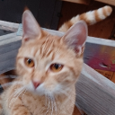 Discord Servers Added by Xzkuip | Explore Active Communities - DiscordHome