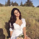 lana del rey | Shapes, Inc