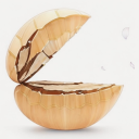 Architecture In Nutshell | Shapes, Inc