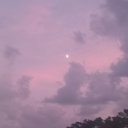 Xavier | Shapes, Inc