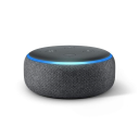 Chat with Alexa | Shapes, Inc