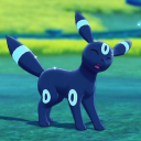 Chat with Osiris, the shiny umbreon! | Shapes, Inc