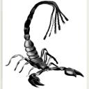 CNC Campus | DISBOARD: Discord Server List