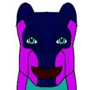 Chat with Wendy | Shapes, Inc