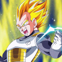 Vegeta | Shapes, Inc