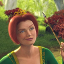 Chat with Fiona | Shapes, Inc