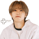 Chat with H4N | Shapes, Inc