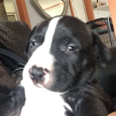 ERLC Templaye For your s | Discord Template List | Discords.com