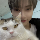 Chat with jun | Shapes, Inc