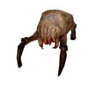 Headcrab | Shapes, Inc