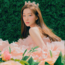 Chat with Irene | Shapes, Inc