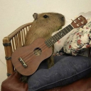 Capybara | Shapes, Inc