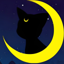 Chat with Midnight | Shapes, Inc