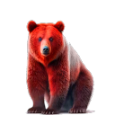 Greater The Bear | Shapes, Inc