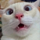 Add Clueless Discord Bot | Invite Link