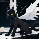 Chat with Luna | Shapes, Inc