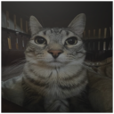 mendhak | Shapes, Inc