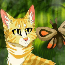 Mothwing | Shapes, Inc