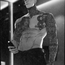 xavier | Shapes, Inc