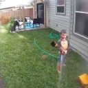 Mason Troy Adams | Shapes, Inc