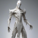 Exploring the Life | Shapes, Inc