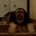 Buck Bundy | Shapes, Inc