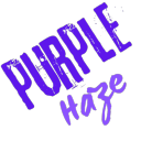 Add Purple Haze Discord Bot | The #1 Discord Bot and Discord App List
