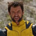 Wolverine | Shapes, Inc