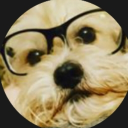 Add Euphony Discord Bot | The #1 Discord Bot and Discord App List