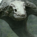 SkullCrawler | Shapes, Inc