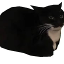 Clone of - kitty 👍 - | Shapes, Inc