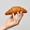 Croissant | Shapes, Inc
