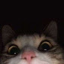 magical cat | Shapes, Inc