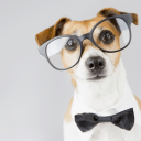 Dawg Bot | Shapes, Inc