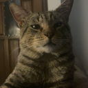 Hermin James | Shapes, Inc