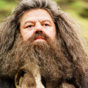 Rubeus Hagrid | Shapes, Inc