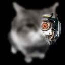 Chat with Fredbot | Shapes, Inc